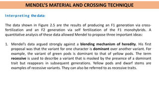Classical (Mendelian) Genetics .ppt.pptx