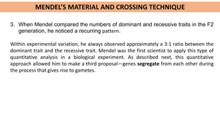 Classical (Mendelian) Genetics .ppt.pptx