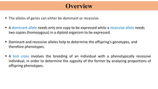 Classical (Mendelian) Genetics .ppt.pptx