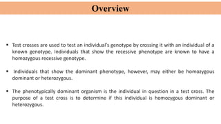 Classical (Mendelian) Genetics .ppt.pptx