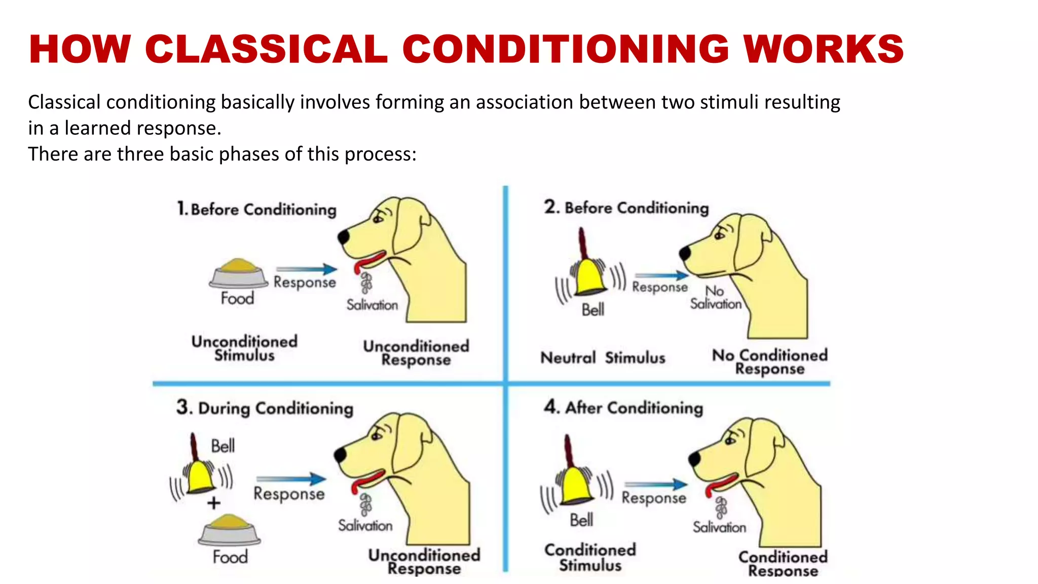 Classical & Operant Conditioning.pptx