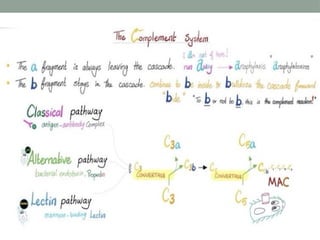 Classical complement activation Pathway.pptx