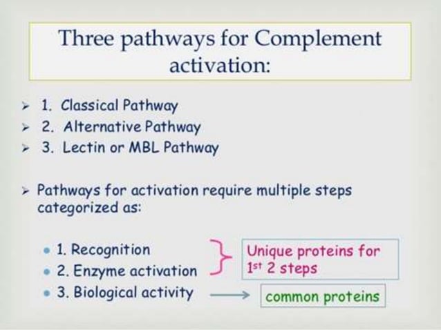 Classical pathway of complement | PPTX | Blood Disorders | Diseases and ...