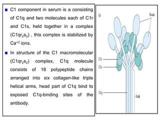 Classical pathway of complement | PPTX