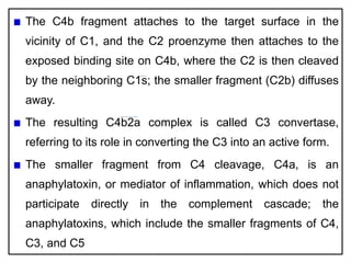 Classical pathway of complement | PPTX