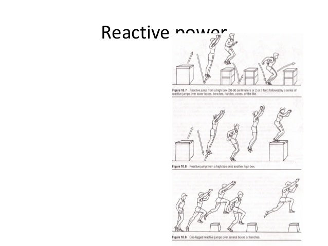 Bompa's Periodization for Sports Training