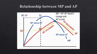 Classical production function and three stages of production | PPTX