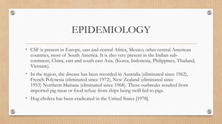 Classical swine fever | PPTX