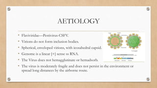 Classical swine fever | PPTX