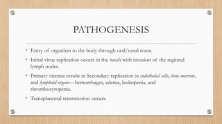 Classical swine fever | PPTX