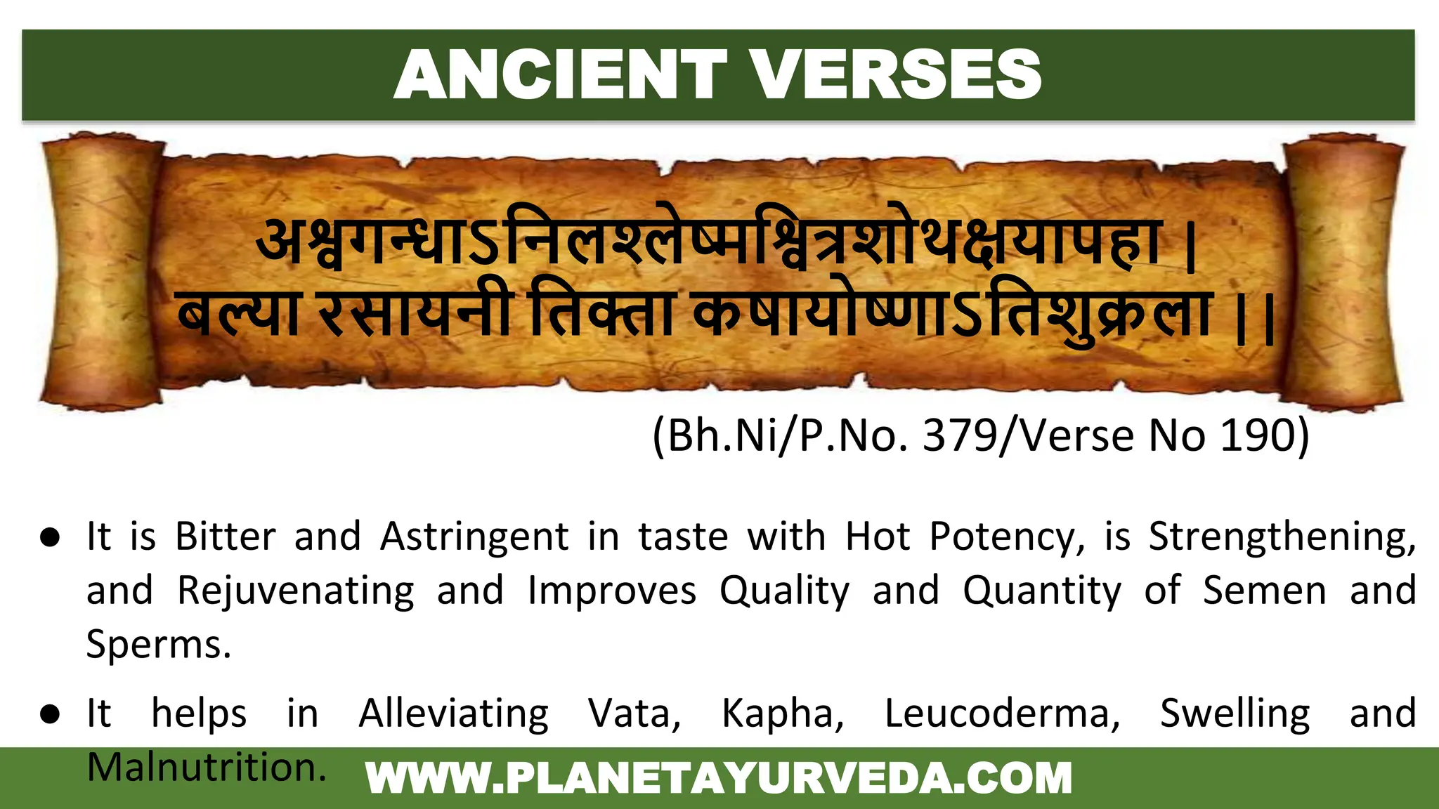 Classical Synonyms and Categorization of Ashwagandha in Ayurveda.pptx