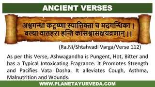 Classical Synonyms and Categorization of Ashwagandha in Ayurveda.pptx