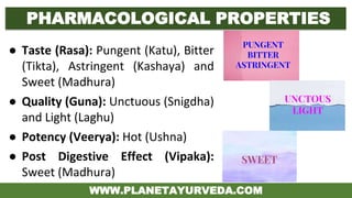 Classical Synonyms and Categorization of Ashwagandha in Ayurveda.pptx