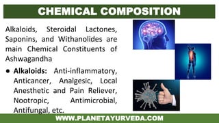 Classical Synonyms and Categorization of Ashwagandha in Ayurveda.pptx