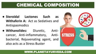 Classical Synonyms and Categorization of Ashwagandha in Ayurveda.pptx