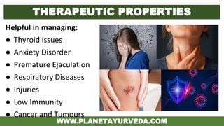 Classical Synonyms and Categorization of Ashwagandha in Ayurveda.pptx