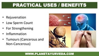 Classical Synonyms and Categorization of Ashwagandha in Ayurveda.pptx