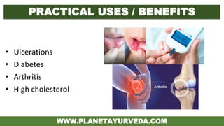 Classical Synonyms and Categorization of Ashwagandha in Ayurveda.pptx