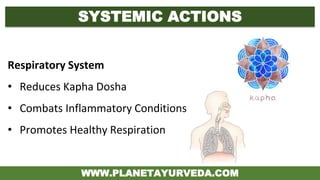 Classical Synonyms and Categorization of Ashwagandha in Ayurveda.pptx