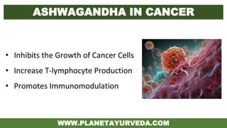 Classical Synonyms and Categorization of Ashwagandha in Ayurveda.pptx