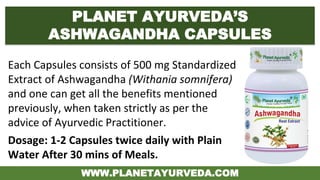Classical Synonyms and Categorization of Ashwagandha in Ayurveda.pptx