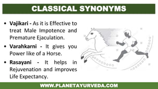 Classical Synonyms and Categorization of Ashwagandha in Ayurveda.pptx