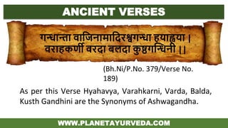 Classical Synonyms and Categorization of Ashwagandha in Ayurveda.pptx