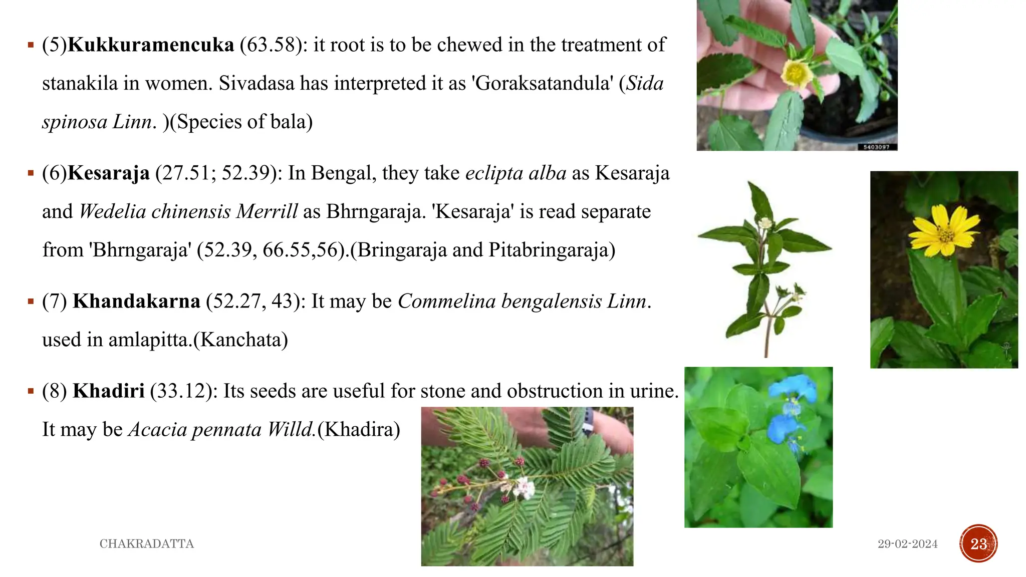 Chakradatta/Chitsasamgraha of Chkarapanidatta.pptx- Ayurveda Samhitha ...