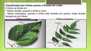 Classif | PPT