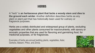 CLASSIFCATION OF HORTICULTURE PLANT BASED ON STEM AND LEAF TEXTURE.pptx