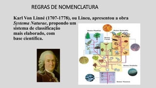 Classificacao e nomenclatura | PPTX