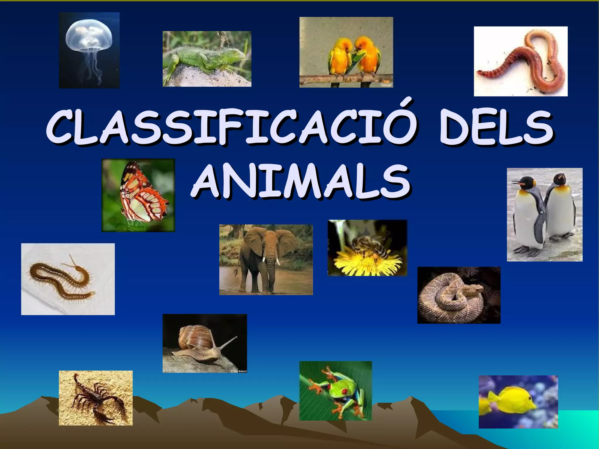 Classificació dels animals | PPT
