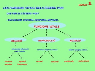 la classificació dels éssers vius.pptx
