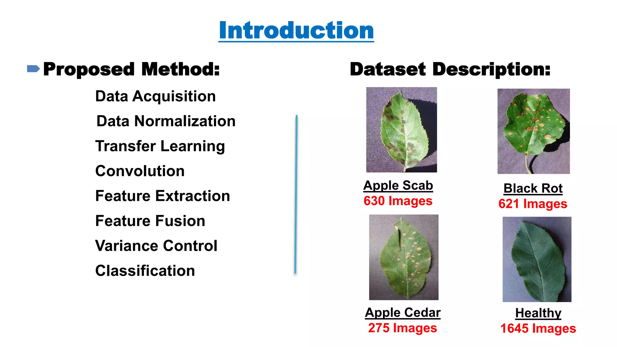 Classification Of Apple Diseases Through Machine Learning Ppt