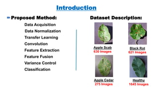 Classification of Apple diseases through machine learning | PPT