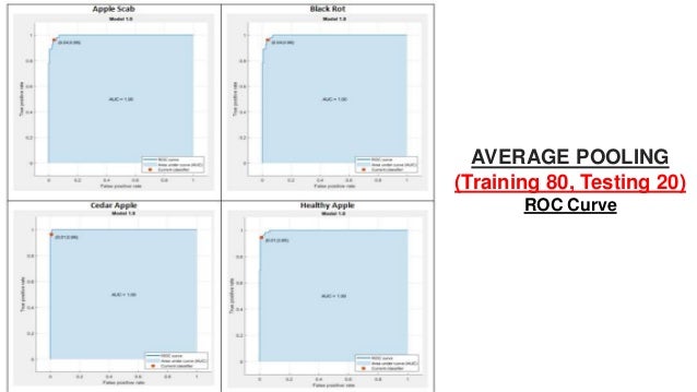 Classification Of Apple Diseases Through Machine Learning