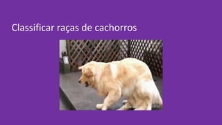 Classificando documentos com computer vision api e python | PDF | Artificial Intelligence ...