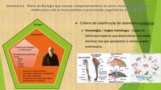 Classificação biológica.Conceito biológico de espécie. Nomenclatura ...