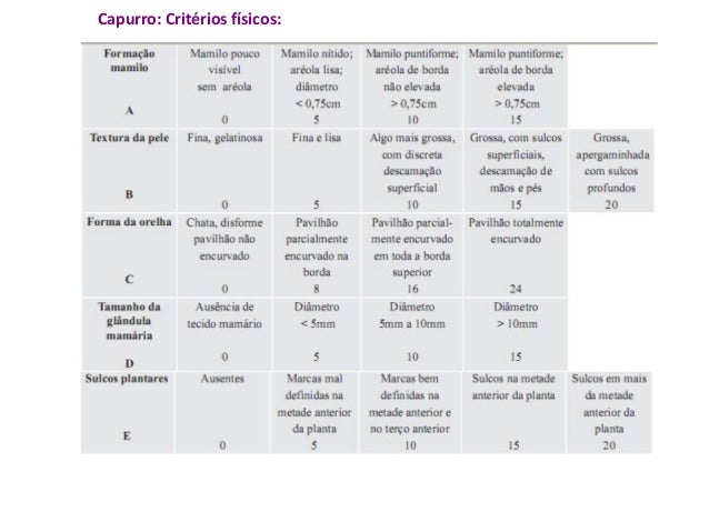 Classificação de RN