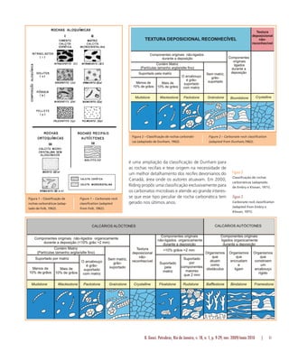 Classificação de rochas carbonáticas aplicável às bacias sedimentares ...