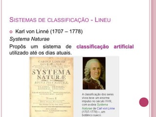 Classificação dos seres vivos | PPTX
