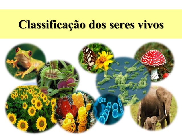Classificação dos seres vivos em 5 reinos | PPT