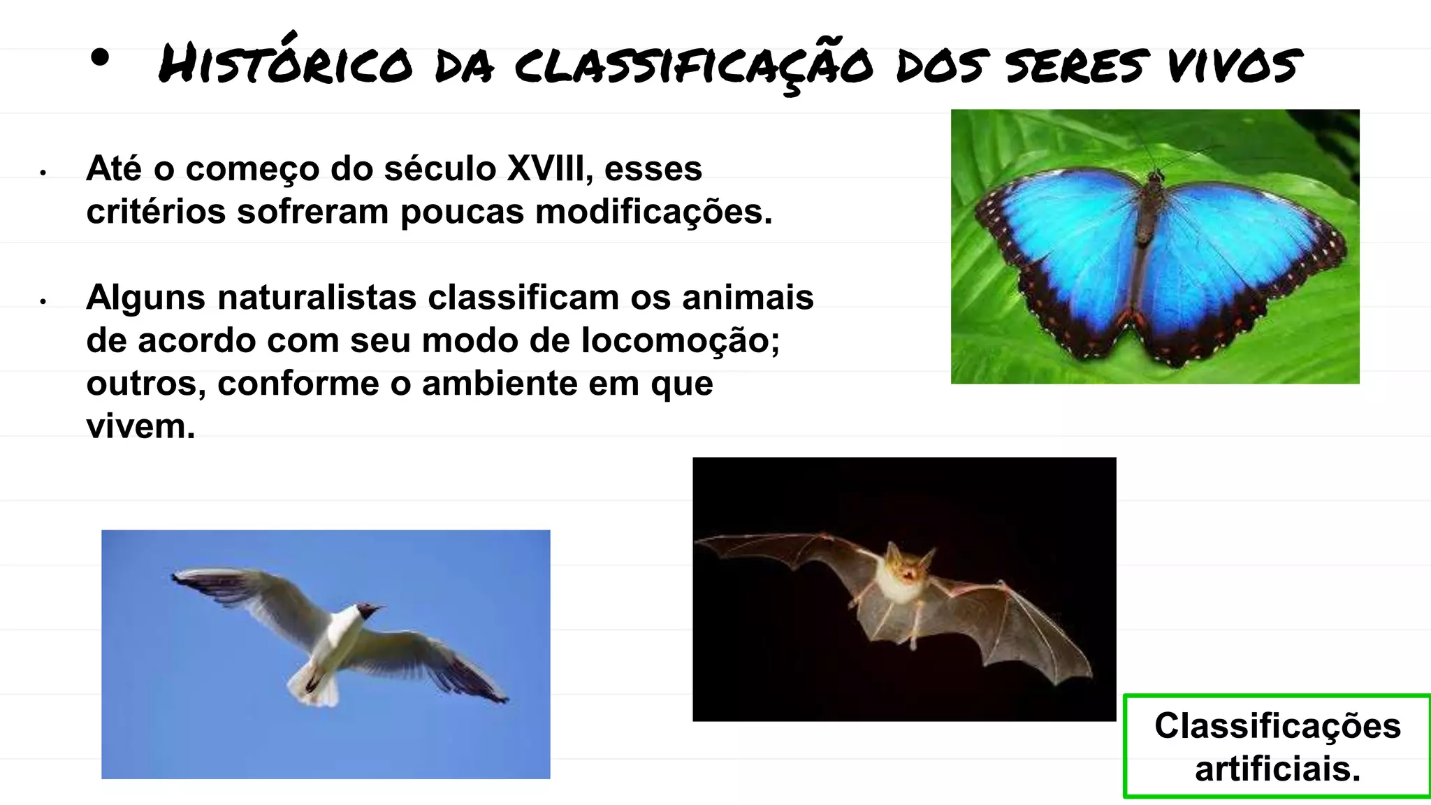 Classificação dos seres vivos 7º ano.pptx