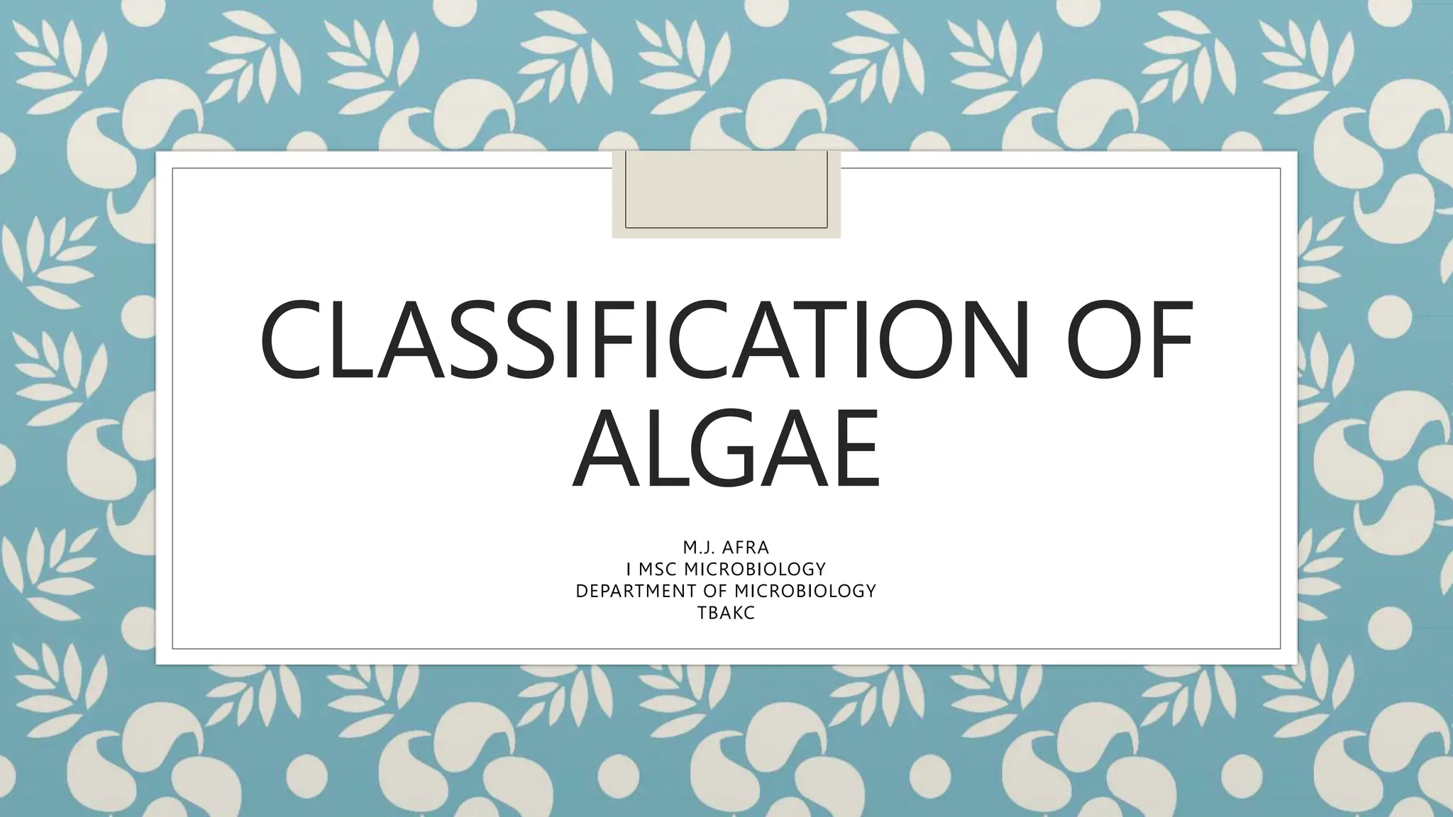 CLASSIFICATIOF ALGAE.pptx