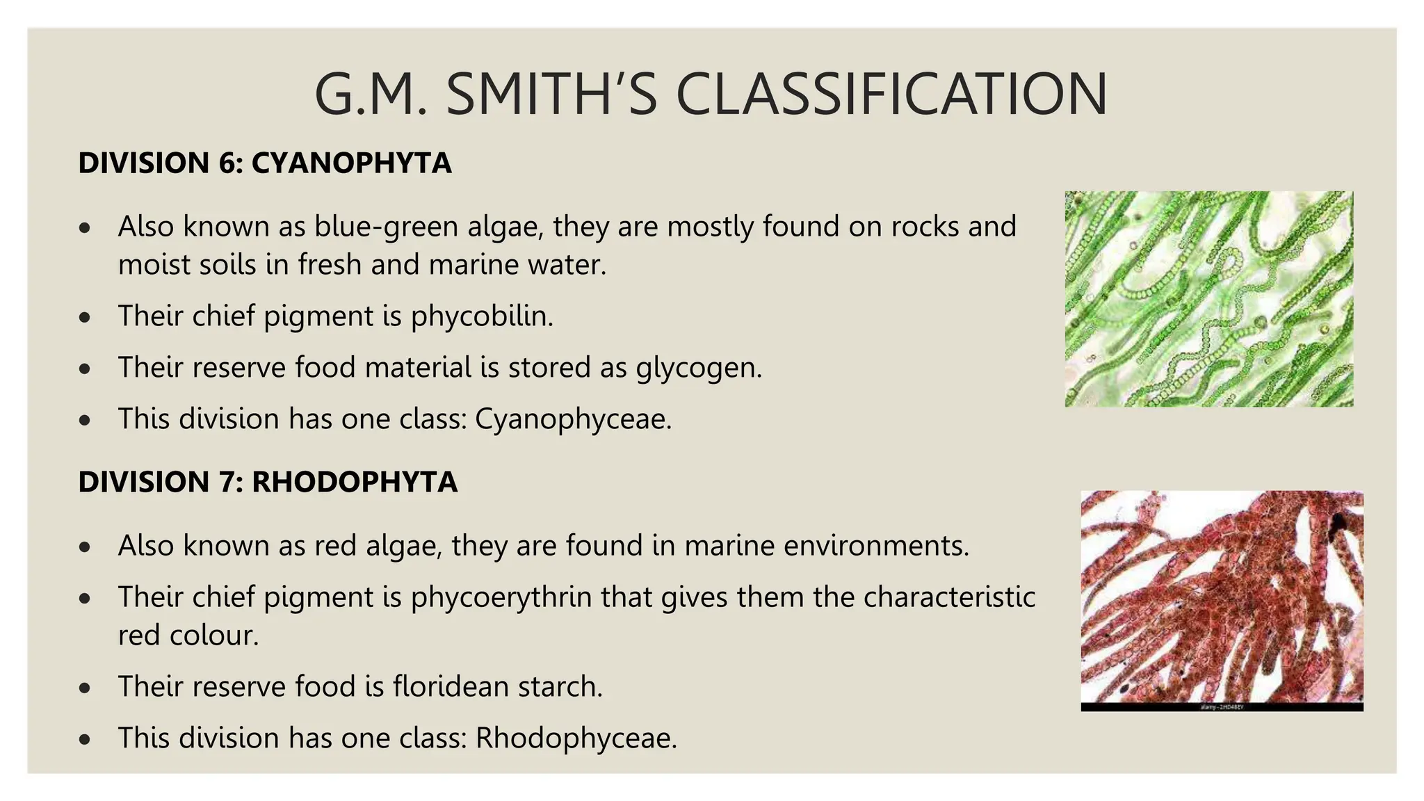 CLASSIFICATIOF ALGAE.pptx