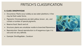 CLASSIFICATIOF ALGAE.pptx