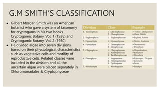 CLASSIFICATIOF ALGAE.pptx