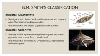 CLASSIFICATIOF ALGAE.pptx
