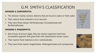 CLASSIFICATIOF ALGAE.pptx
