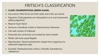 CLASSIFICATIOF ALGAE.pptx